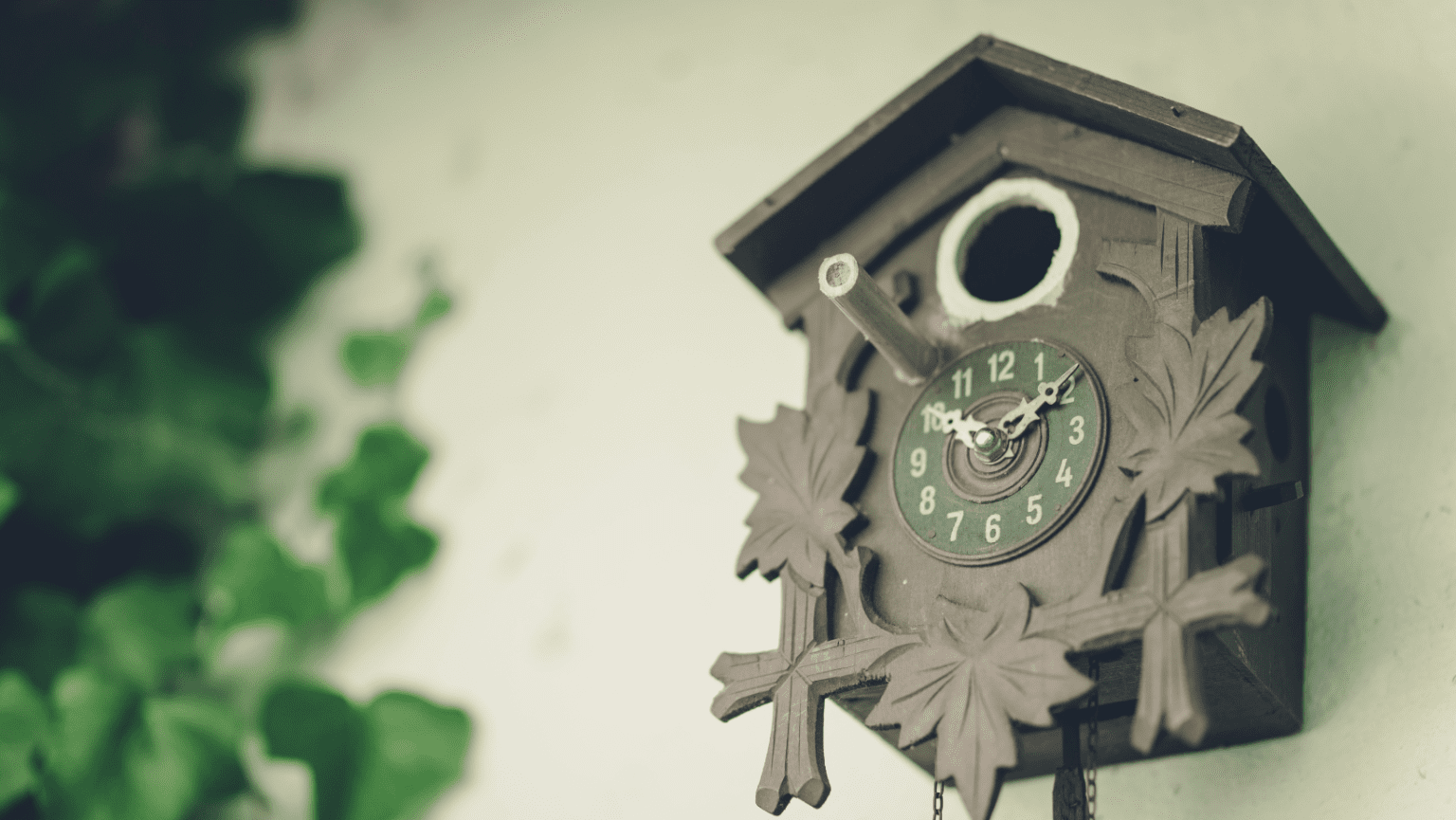 The History Of The Cuckoo Clock - Timecentre